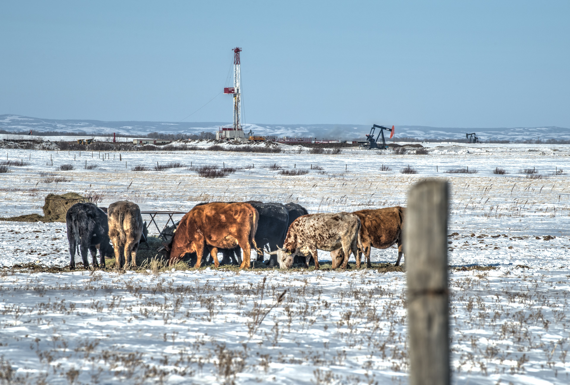 The 12 Rigs of Christmas: On the first day of Christmas, my missus gave ...