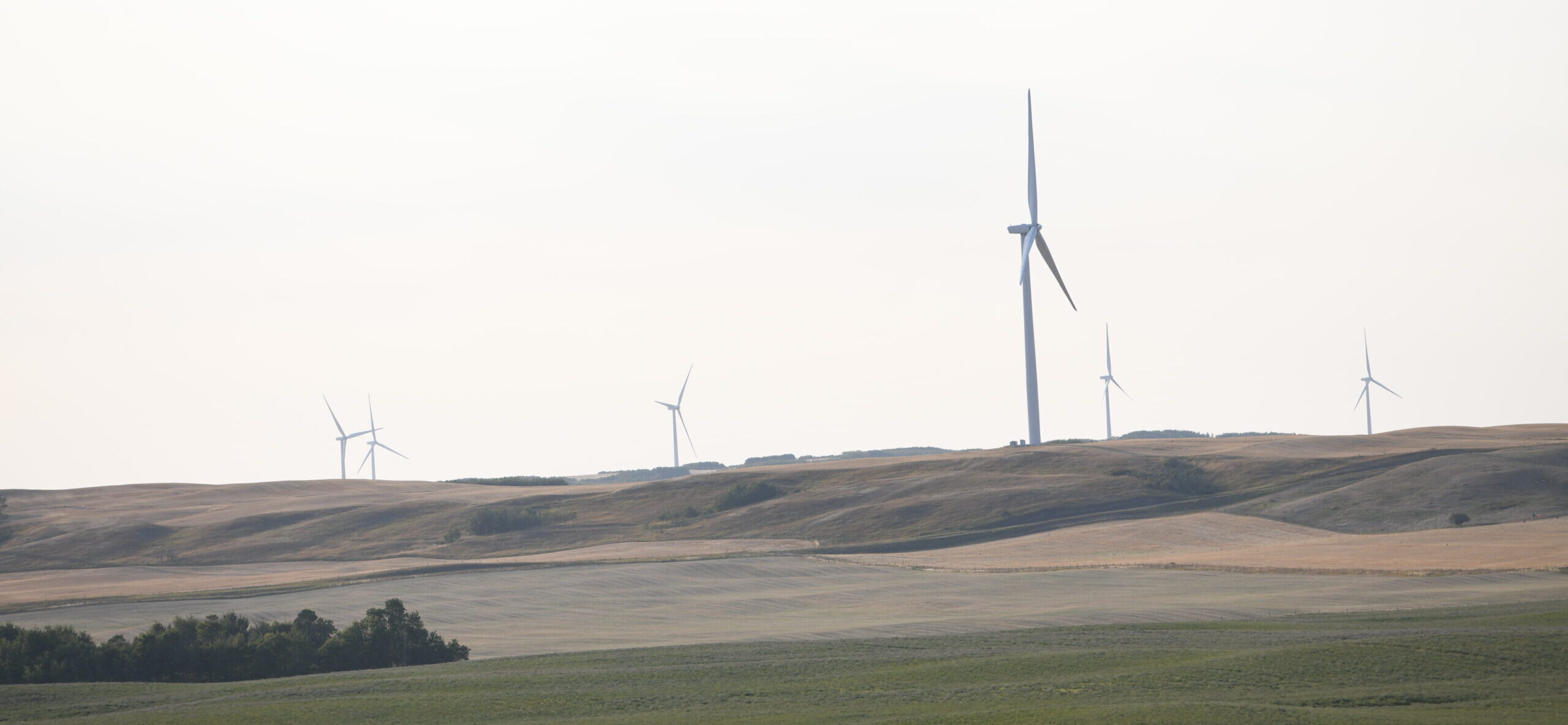 Letter to Editor: No matter how many wind farms are built, there will ...