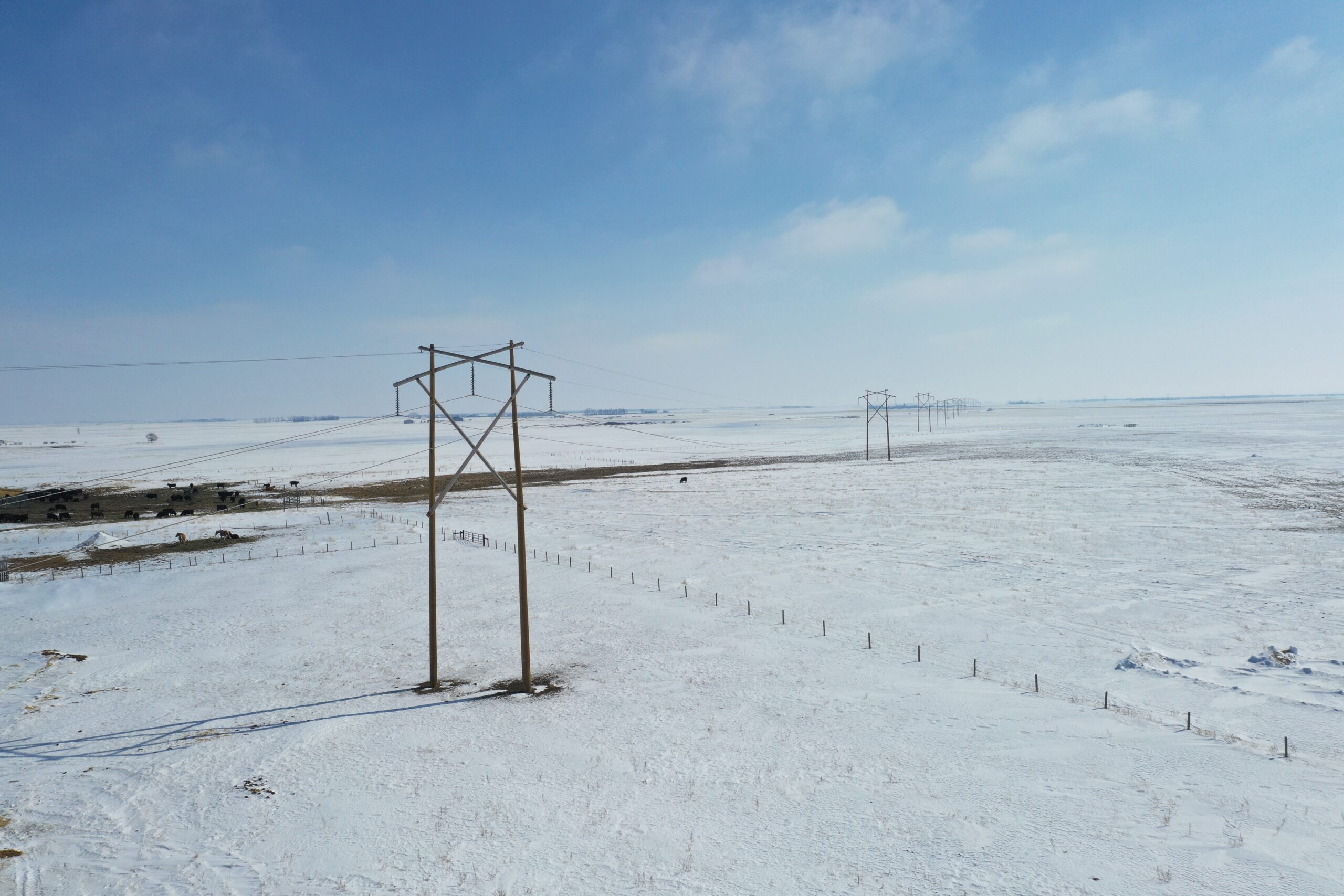 Verbatim: NDP grilled SaskPower and minister on billion dollar ...