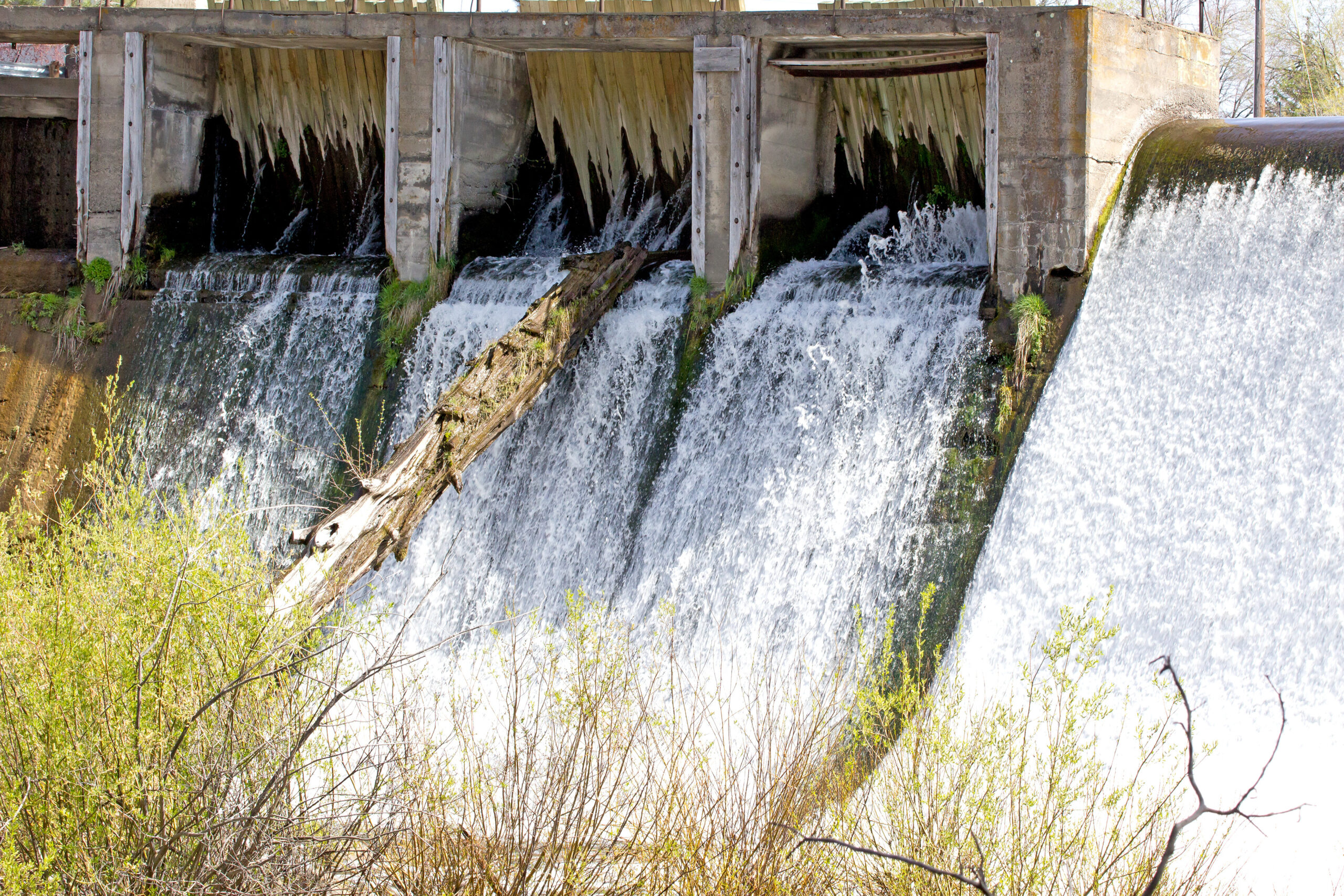 Damn Dams are Damned, Dammit! | Pipeline Online