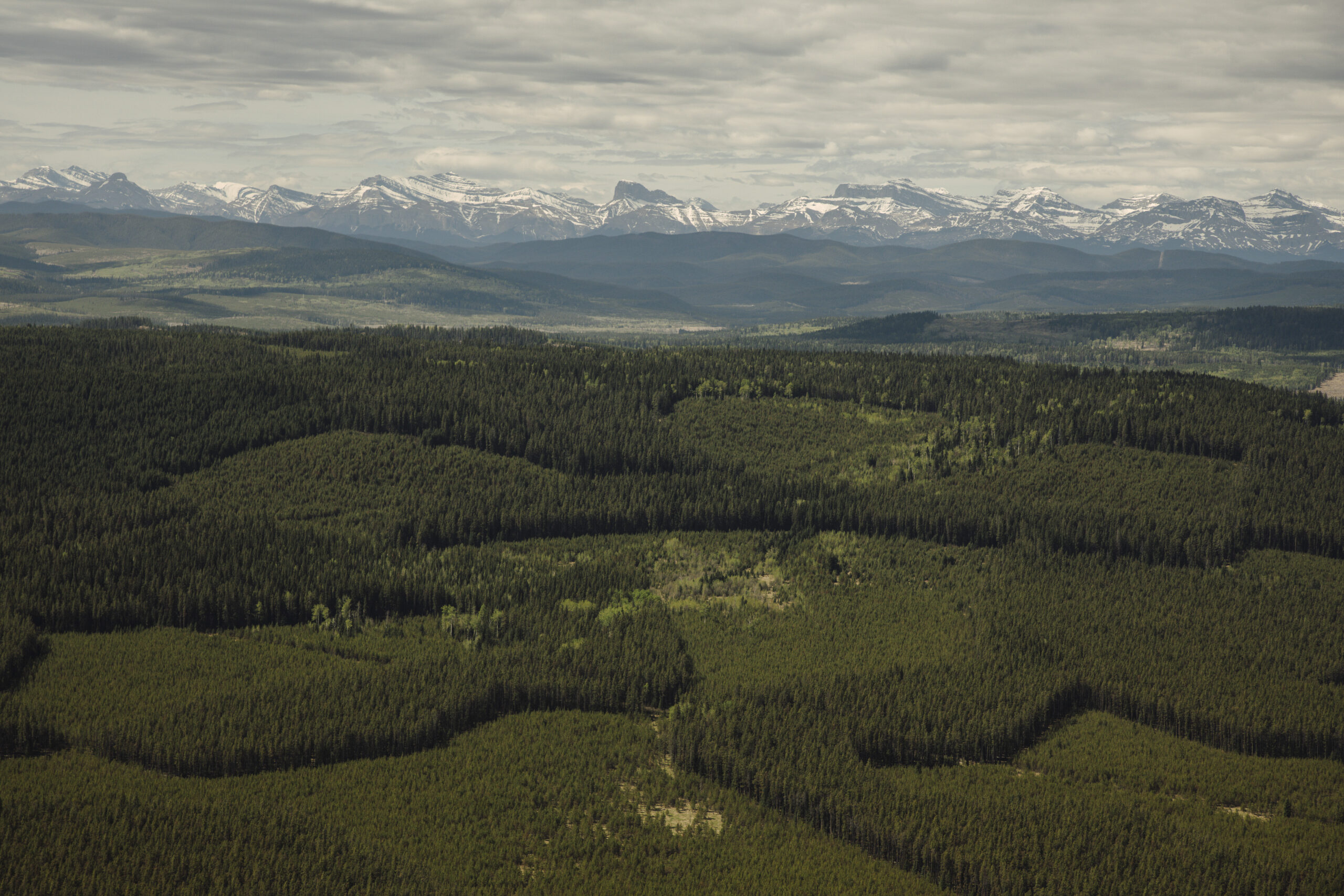 Alberta government releases no-go zone map for renewable power projects ...