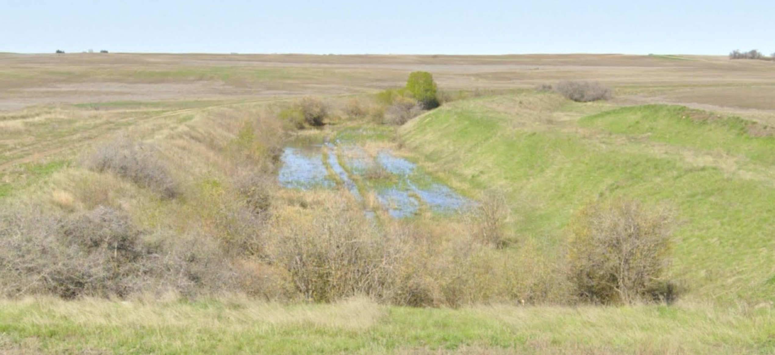 Pretty sure canals aren’t supposed to have trees in them: Stantec and ...