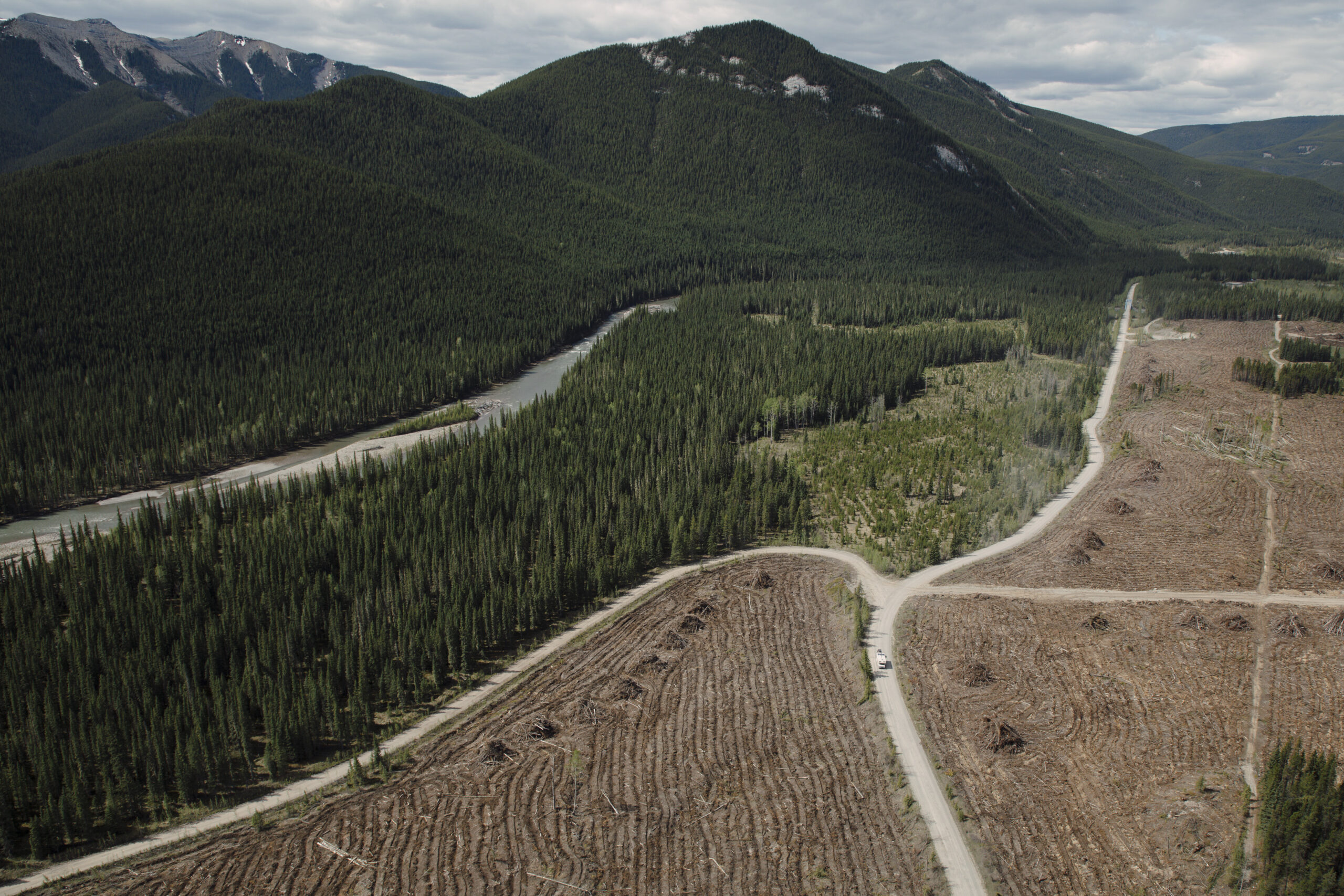 Alberta reaches settlement with two coal companies suing over policy ...